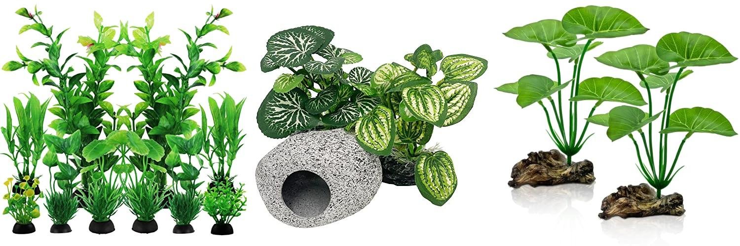 Top 5 Plants For Betta Fish: A Complete Guide for Your Betta