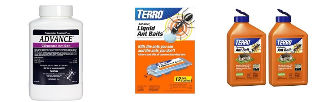 Top 5 Carpenter Ant Bait: Buyer's Guide & Reviews