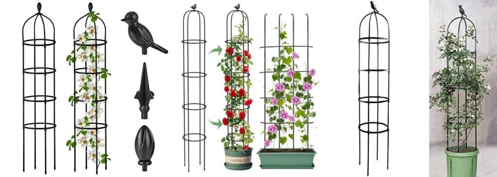 Top 5 Trellis For Clematis: Your Growing Guide